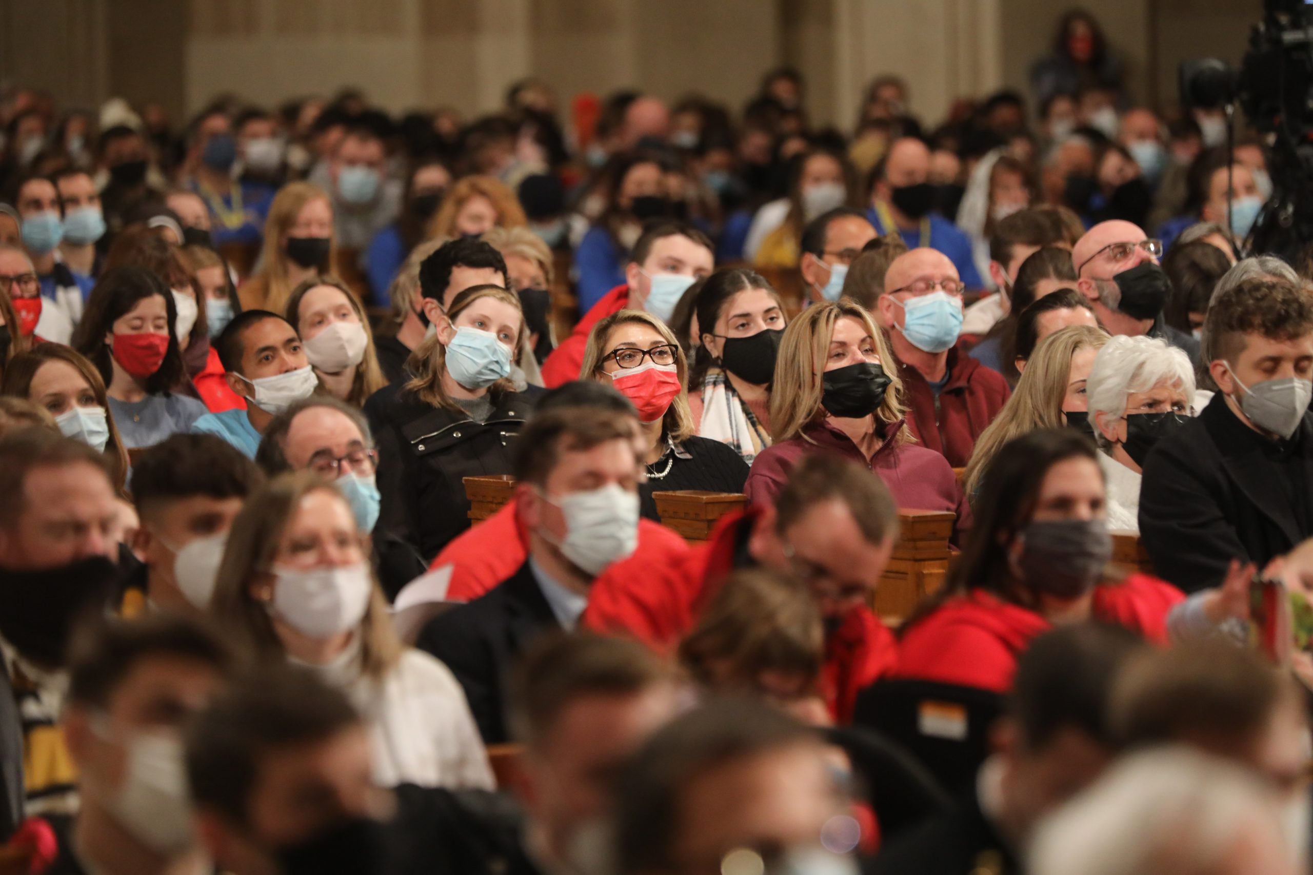 Cómo participar de la Marcha por la Vida| Angelus en Español